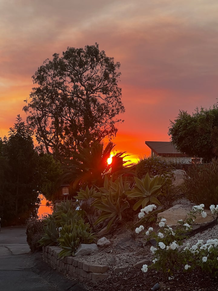 The Simple Cherry On Top - Laguna Beach, CA