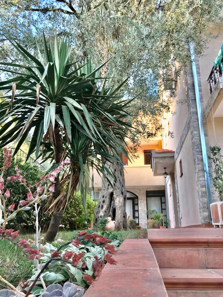 App 3+2+1 In A Quiet Green Place Near Lucice 6 - Montenegro