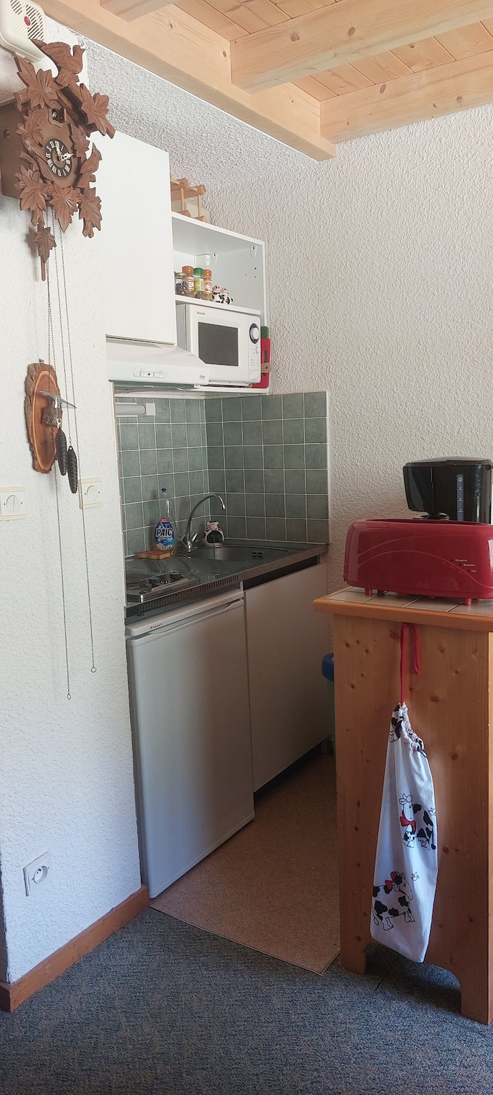 Superbe Appartement Aux Pieds Des Pistes - Saint-Jean-d'Aulps