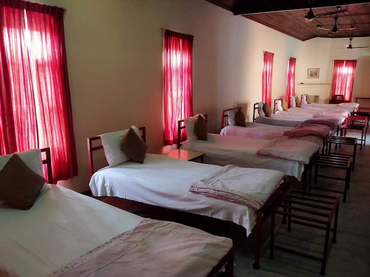 Dormitory Beds  - Naurang Yatri Niwas - Chintpurni
