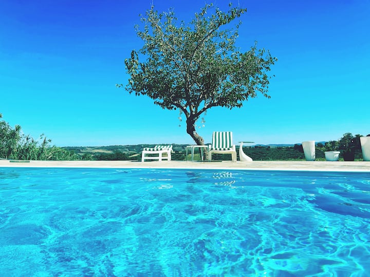 La Vigna Di Ranco Laura - Fossacesia