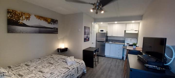 Rabais! Superbe Studio Meublé, Hull !(50) - Gatineau