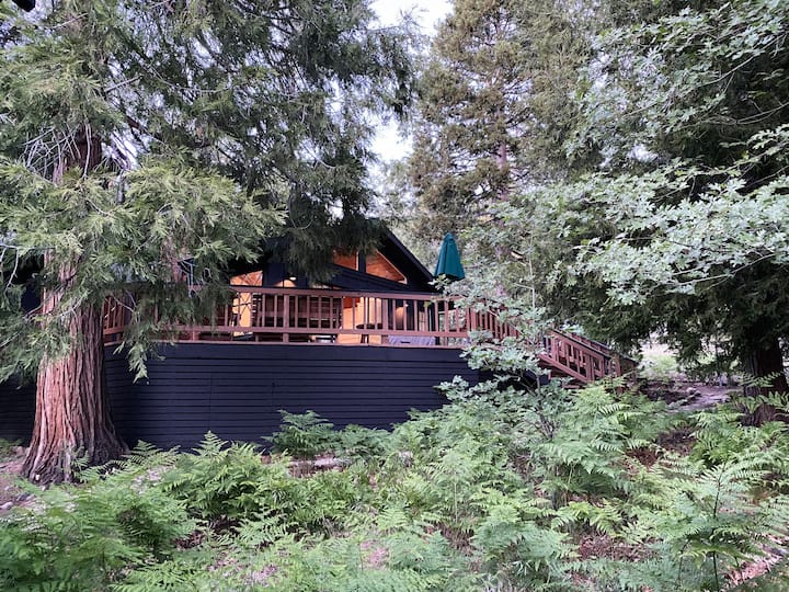 Mountain Mod Cabin W/ Ev Charging - Fernwood - 아이딜와일드-파인 코브