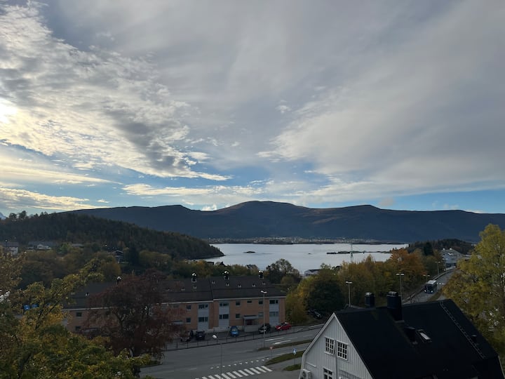 Flott Og Romslig Toppleilighet - Alesund