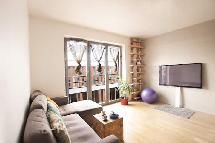 Bel Apt Rue Philidor - Paris