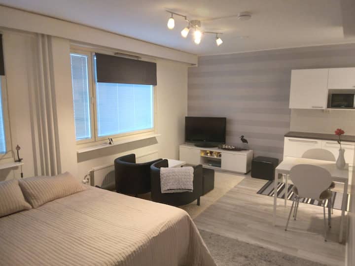 Siisti Yksiö Rovaniemen Keskustassa - Rovaniemi