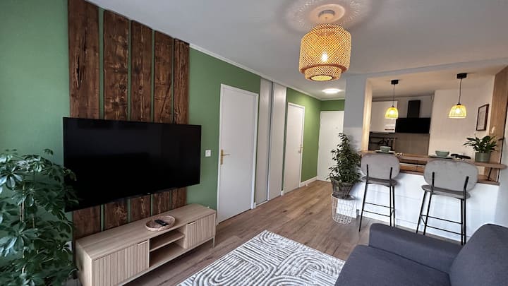 Joli T2 Avec Parking Et Piscine - Perpignan