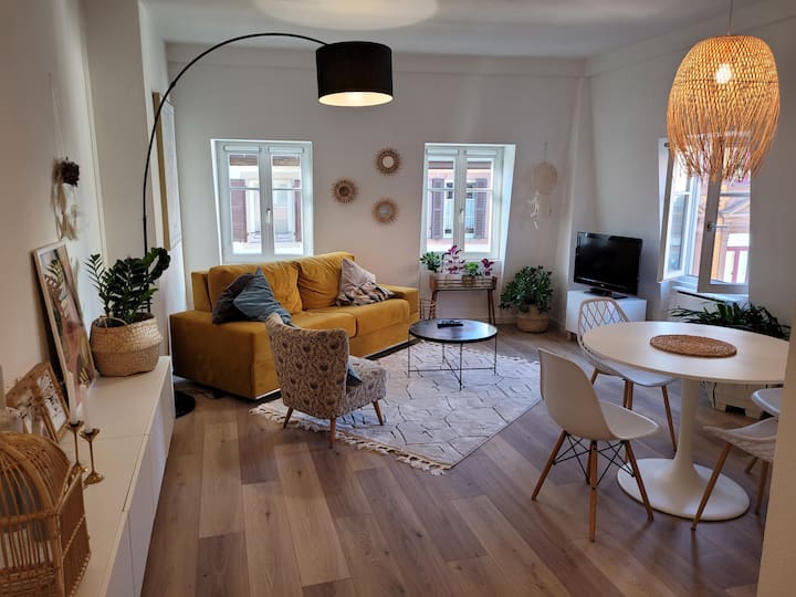Chaleureux 2 Pièces Au Centre De Haguenau - Hagenau