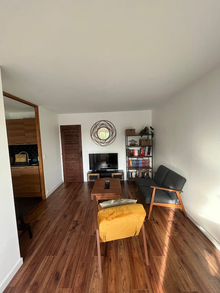 Appartement Chaleureux Au Calme Proche Du Centre - Rennes