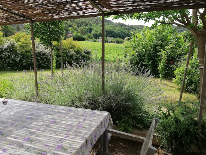 Petite Maison Au Bord Des Vignes - Vaison-la-Romaine