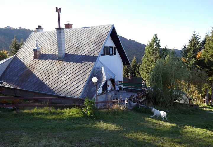 Planinska Kuća - Kopaonik