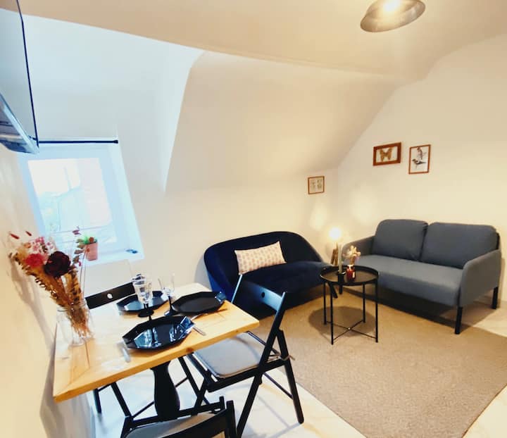 Appartement Chaleureux Au Cœur D’orléans - Saran