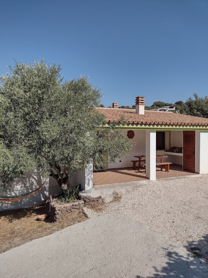 La Casa Nella Vigna N. Cin It091017c2000p2038 - Dorgali