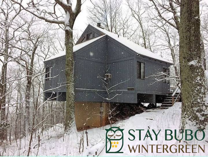 Walk To Ski! Cliff Hanger Hot Tub Fireplace Dogsok - Wintergreen, VA
