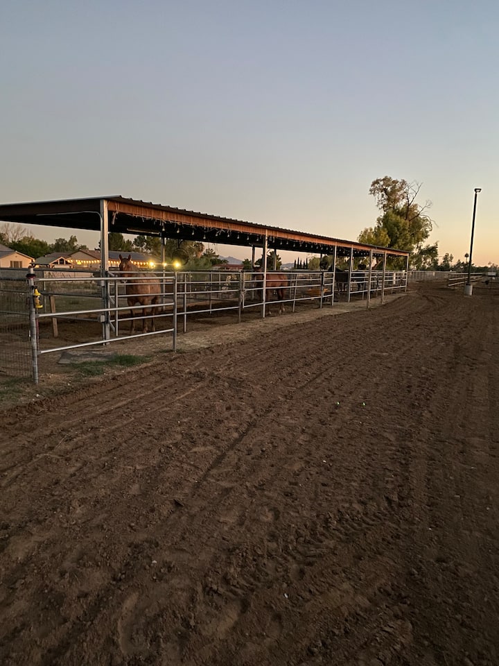 The Barn House - Buckeye, AZ