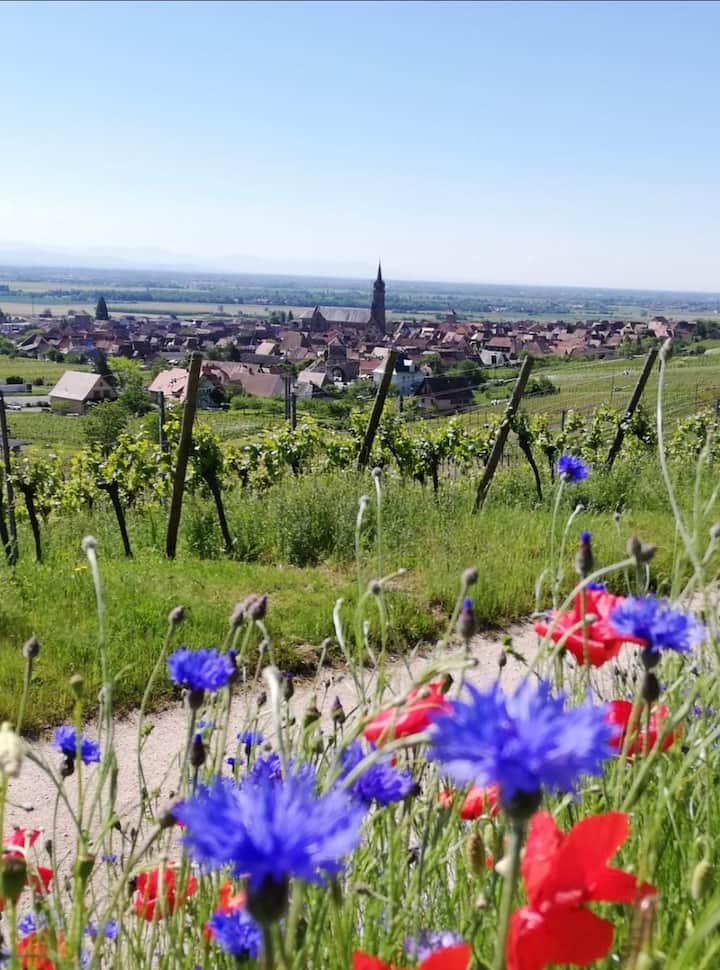 Le Tilleul, Plain-pied & Parking, Proche De Colmar - Dambach-la-ville