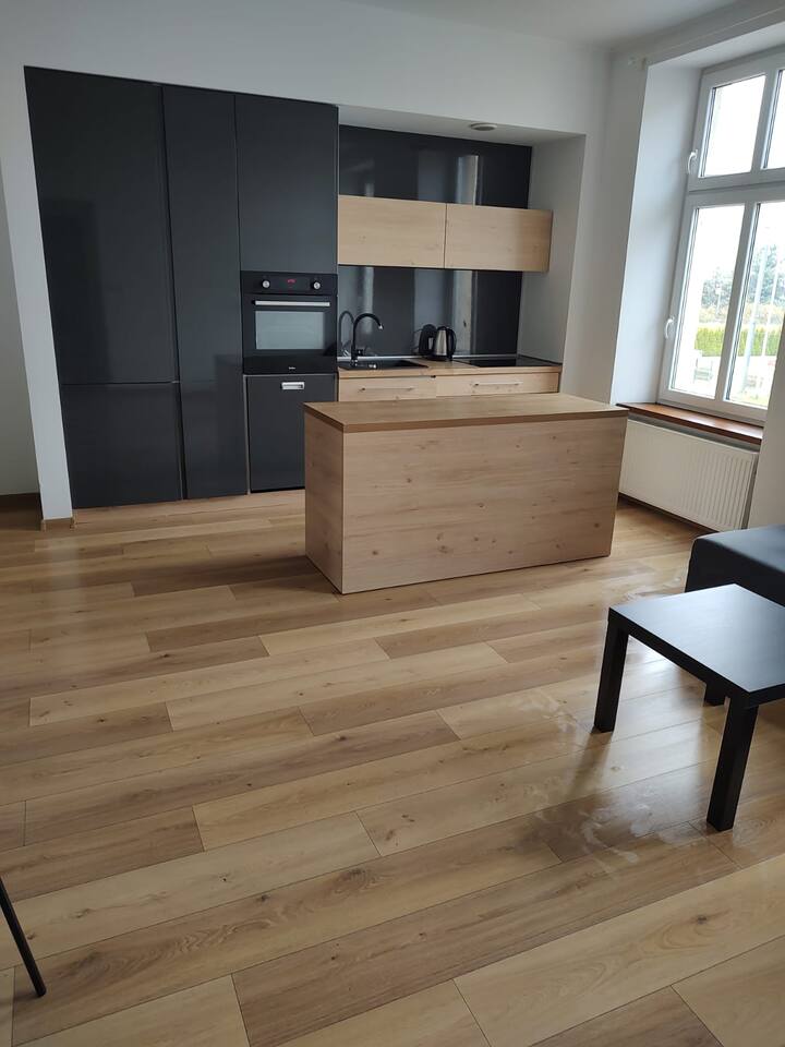 4a Katowice Centrum - 8 Osób 3 Pokoje Wi-fi Tv - Katowice