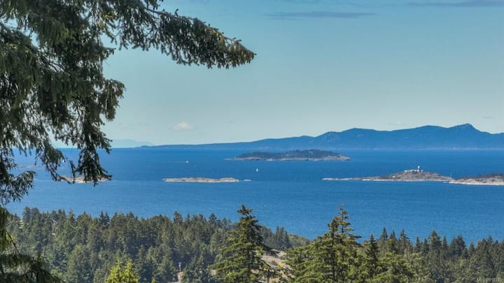 Ocean View! Hot Tub! Bbq! - Nanaimo