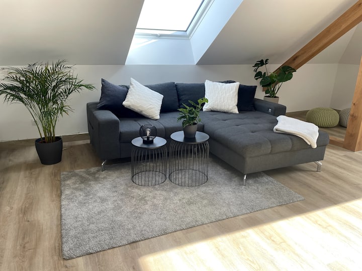 100m² Dachgeschosswohnung (Inkl. Netflix, Disney+) - 曼海姆