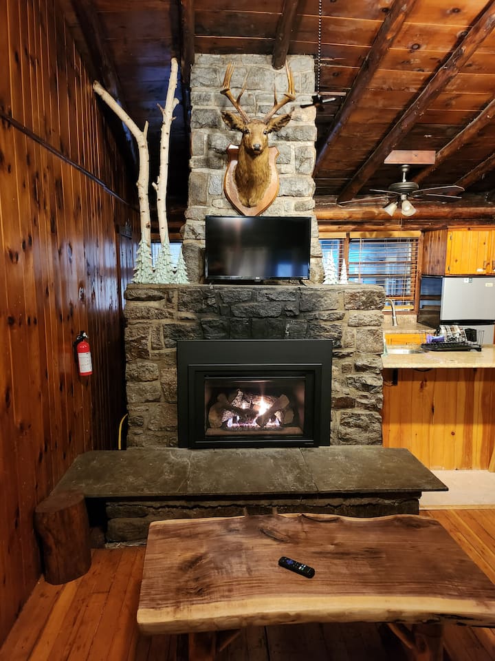 The Wren-adirondack Log Cabin King Bed & Fireplace - Lake George, NY