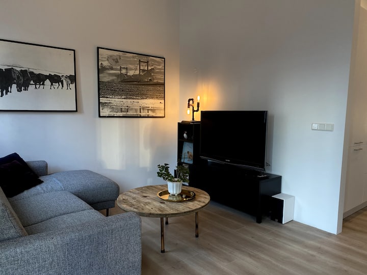 Lovely 1-bedroom Condo In Laugardalur - Reykjavík