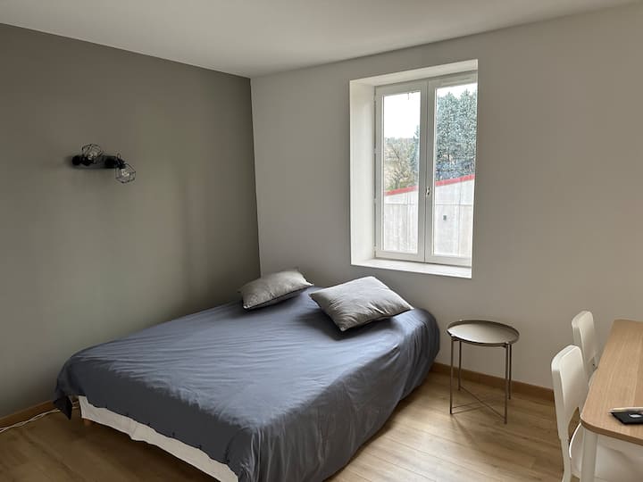 Neuville/saône: Studio Rénové  Proche Centre Ville - Neuville-sur-Saône