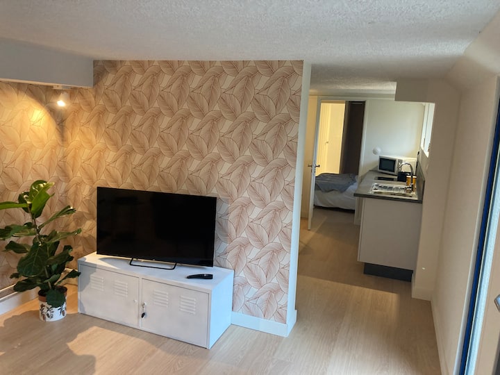 Charmant Appartement Calme Au Centre D'olivet - La Chapelle-Saint-Mesmin