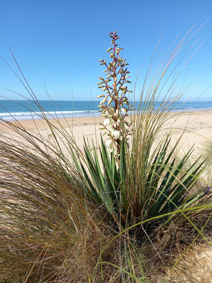 Studio En Résidence Sur Le Port De Boyardville - Saint-Georges-d'Oléron