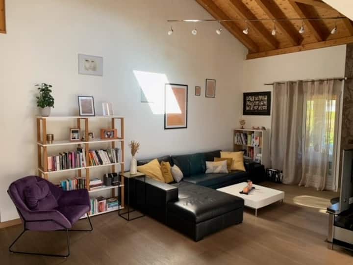 Belle Chambre Privée Dans Une Villa Individuelle - Sion