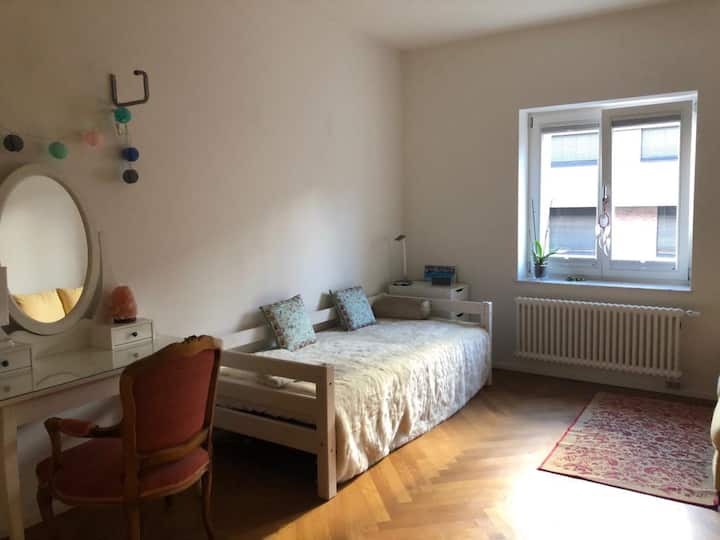 Haidhausen 2, Innenstadt (Zu Fuß) Und Isarauen - Munich