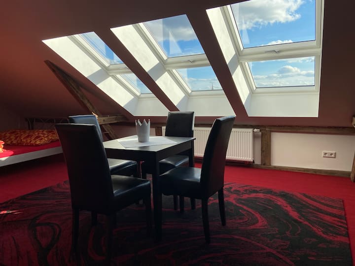 Die Camel Suite - Nuremberg