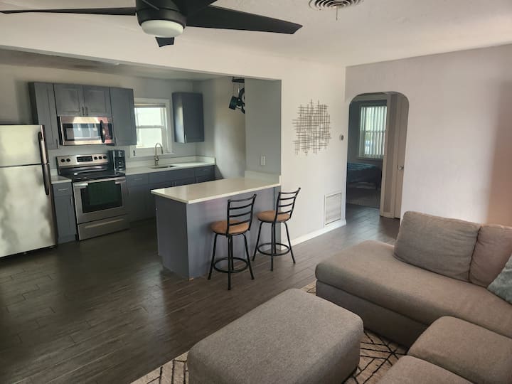 Welcome To The Green Iguana. Updated Home In A Quiet Neighborhood! - St. Petersburg, FL
