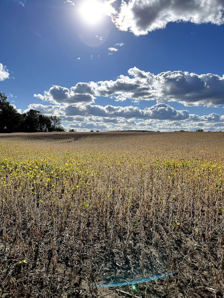 The Retreat Home At Genesis Ranch - 26 Acres - Cottage Grove, MN