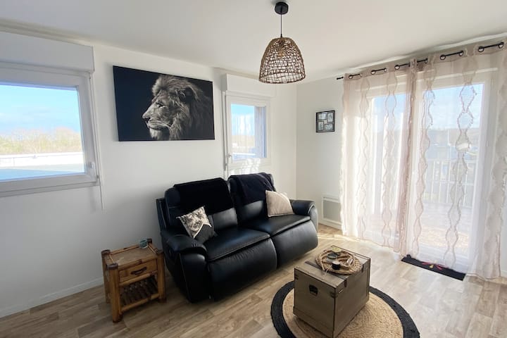 Appart T2 Chaleureux Sud Loire Proche Aéroport - Pont-Saint-Martin