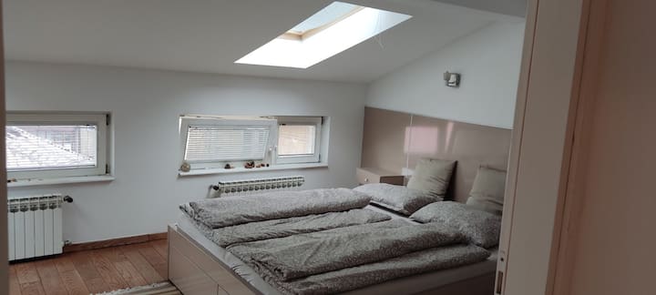 Vila Danin Is A Private House With Garage - Sarajevo