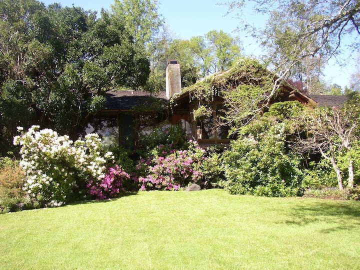 Espectacular Casa, A Pasos Pucon, 2 Casas - Pucón