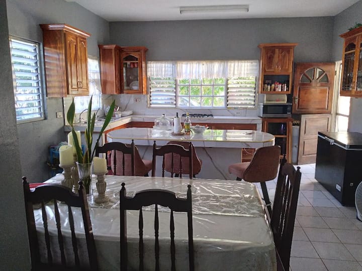 Nelson's Retreat Set In Beautiful Tropical Garden - Negril