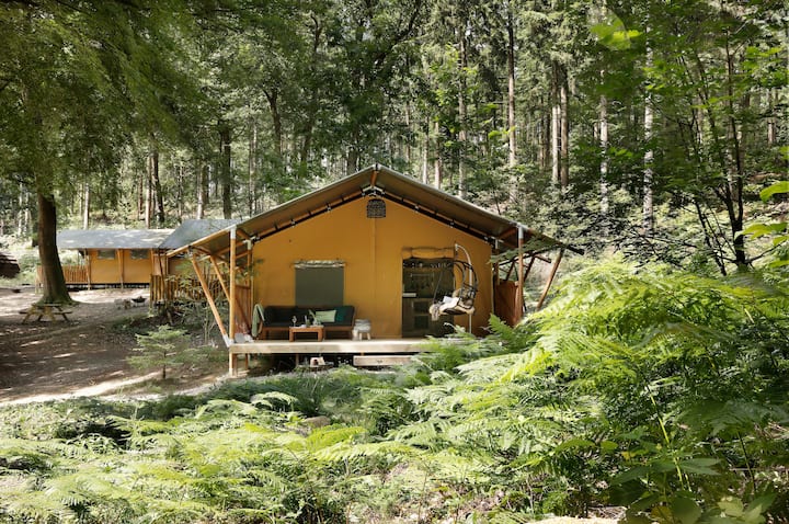 Lodgetent In De Veluwezoom. - Arnhem