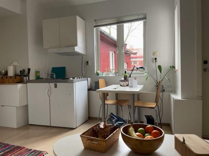 Hybel Med Eget Bad Og Kjøkkenkrok På Kampen - Oslo