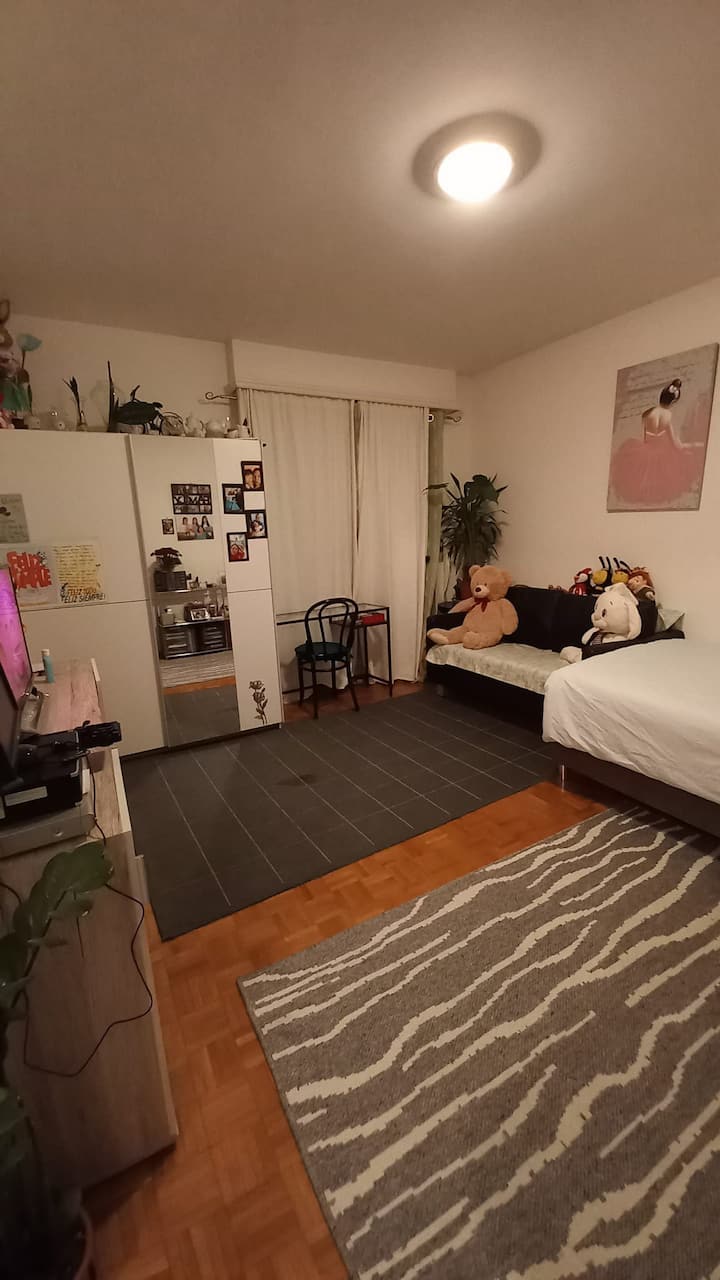 Apartamento En Lausana - Lausanne