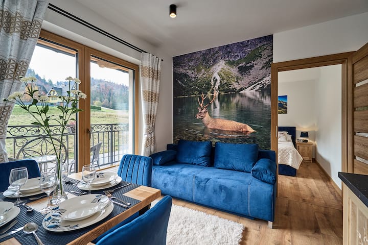 Góralska Strefa Apartament Z Balkonem - Kościelisko