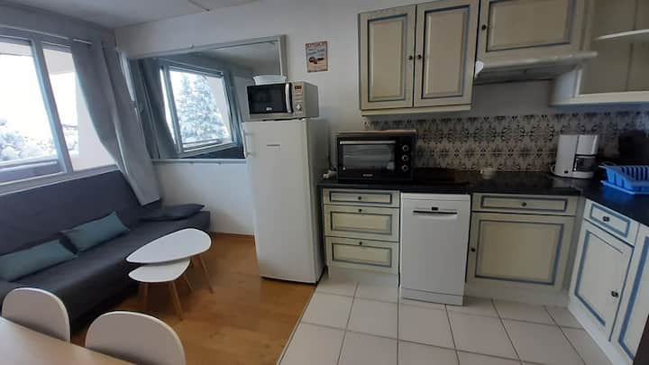 Apt 2* 6/8 Pers." Randonnée, Vtt, Contact Animaux" - La Pierre Saint Martin