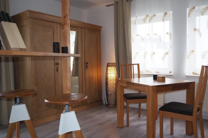 Gemütliche Wohnung Mit Balkon Und Parkplatz - Dresde