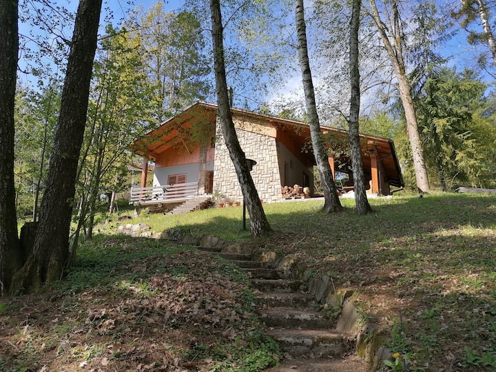 Villa Forest, Your Place In Nature - Garešnica