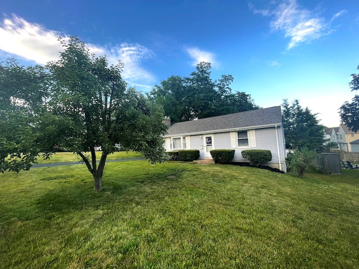 Newly Renovated & Great Location! - West Hartford, CT