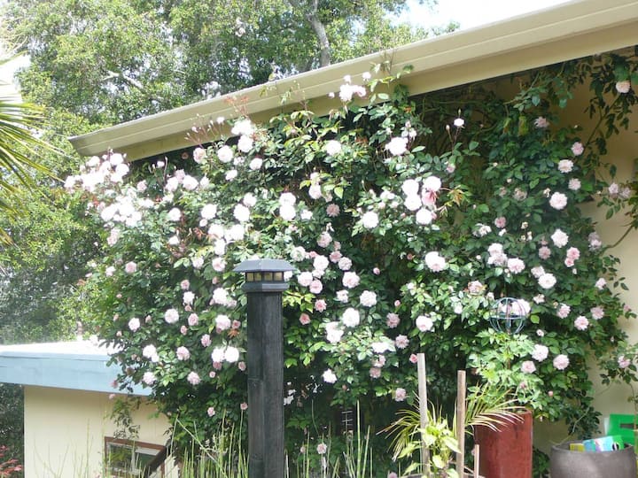 Adorable 1-bedroom, Private Gate, Kitchen, Parking - Orinda, CA