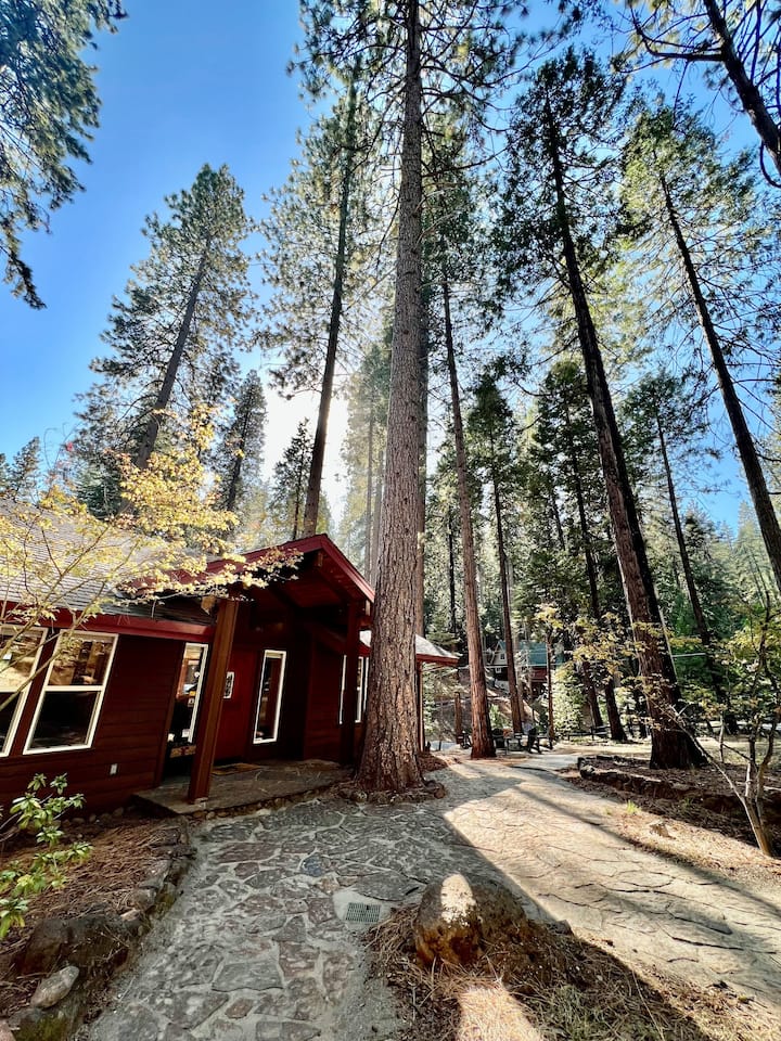 Fabulous, Family - Friendly Sunny_bear_chalet - Arnold, CA