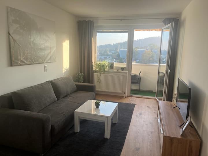 Apartment With City View In Best Location - Linz