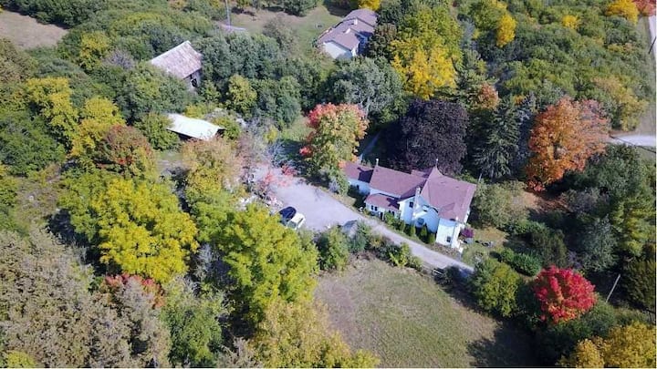 20+ People Gathering Fun Place With Huge Outdoor - Markham
