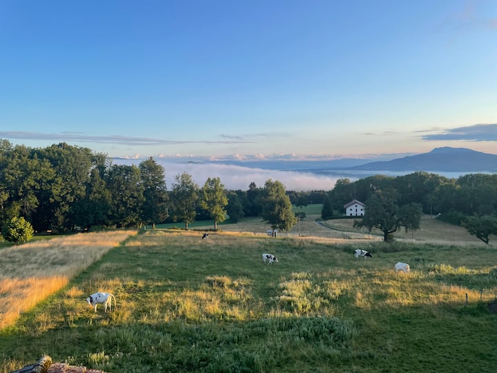 Chalet Accueillant à Proximité D'annecy & Genève - La Roche-sur-Foron